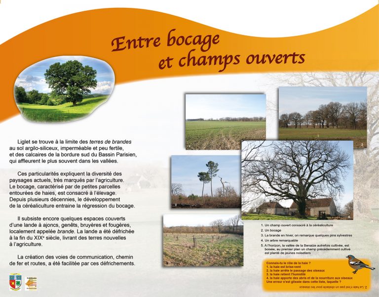 Sentier d'interprétation - Entre Poitou et Brenne
